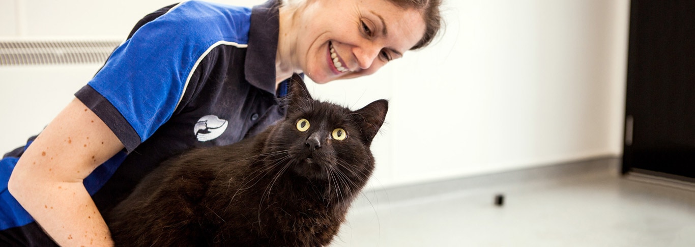 Cambridgeshire's Vets for over 100 years - Welcome to Cromwell Vets