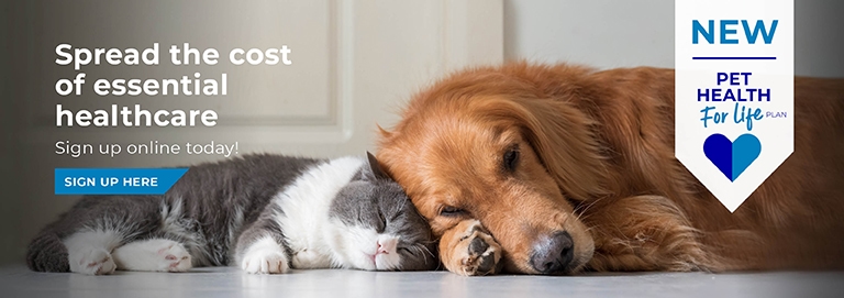 Cambridgeshire's Vets - Cromwell Vets with six modern practices