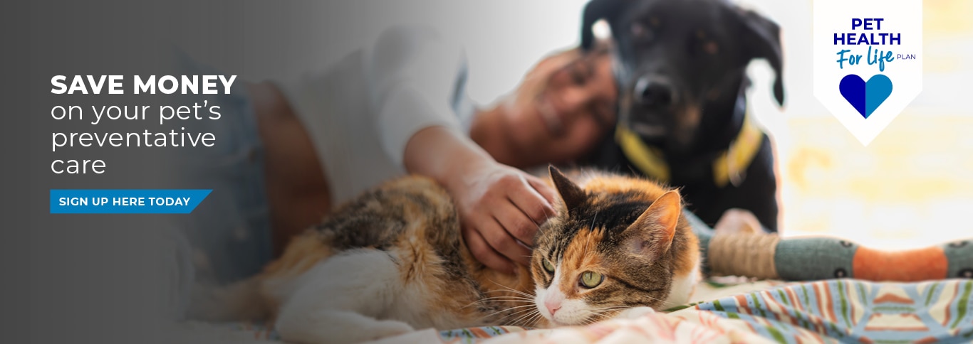 Cambridgeshire's Vets - Cromwell Vets with six modern practices